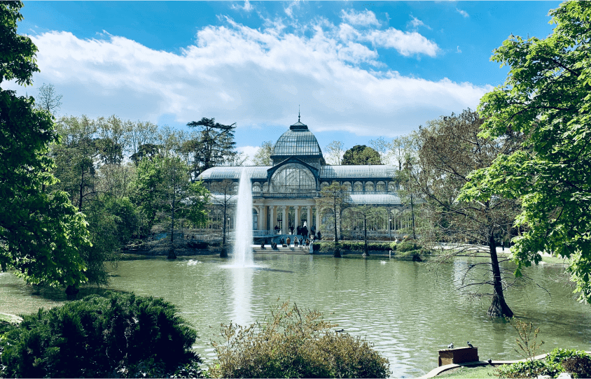 Seán Halpin • Product Designer